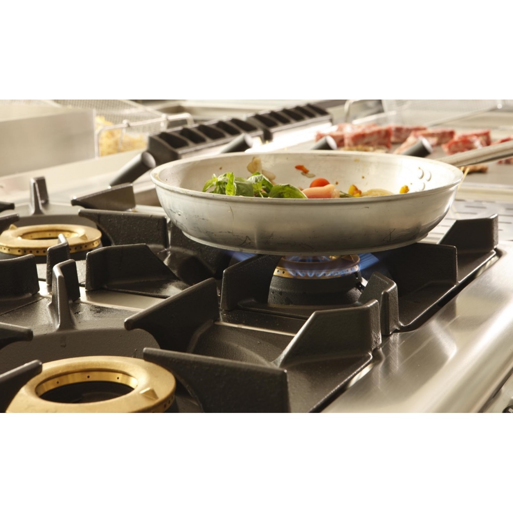 Gas & Electric Cooking -Omega One. Induction Plates Table-Top Wok ...