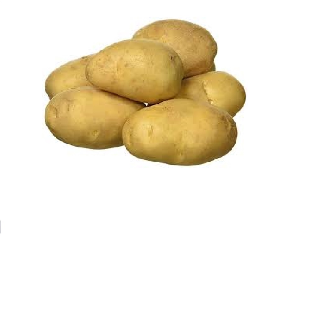 Potato peeler, Industrial potato peelers, Commercial Potato Peeler ...